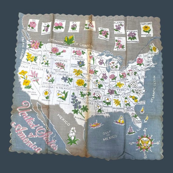Vintage United States Map Handkerchief Floral State F… - Gem