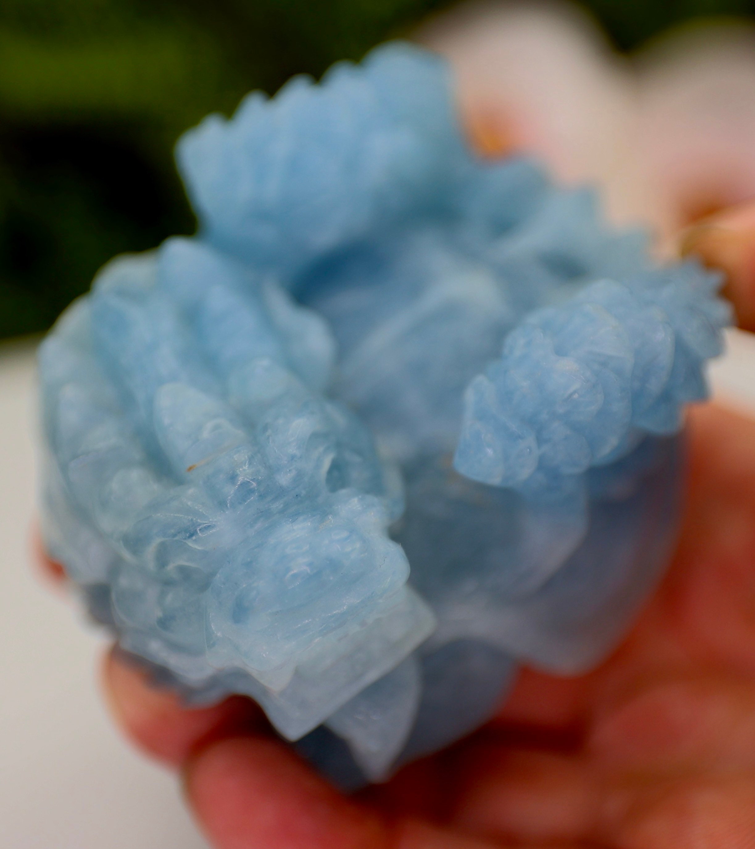 Aquamarine Flying Dragon Turtle Carving With Stand - Etsy