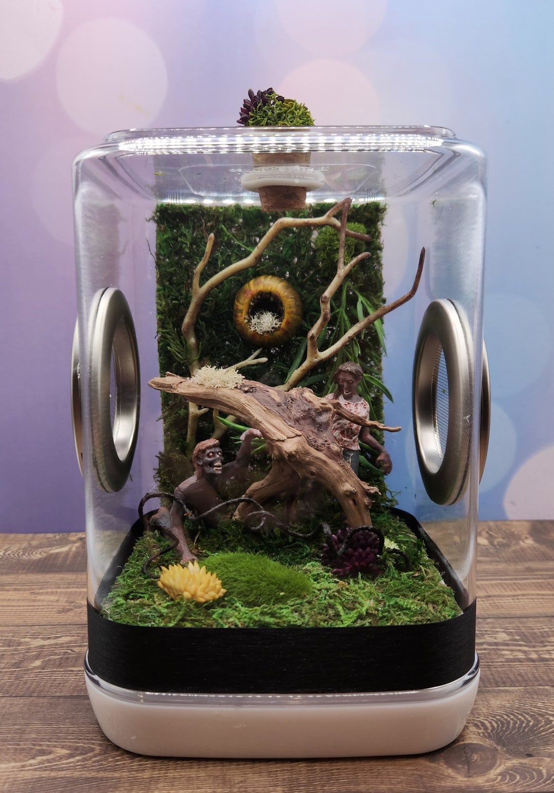 Medium Zombie Horror Themed Jumping Spider Enclosure - Etsy