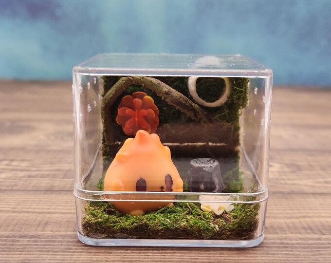 Made to Order Custom Themed Jumping Spider Sling Enclosure - Etsy