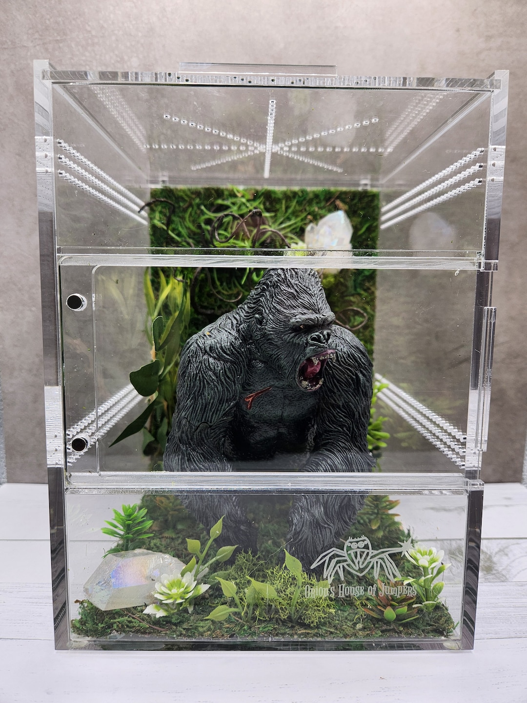 King Kong Theme Front Opening Jumping Spider Enclosure 6x6x8 - Etsy
