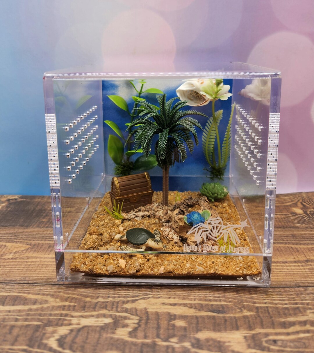 Beach Themed 4x4x4 Top Opening Hinged Jumping Spider Sling Enclousure ...