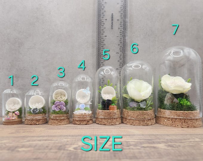 Luna Moth Spider Hide - Etsy