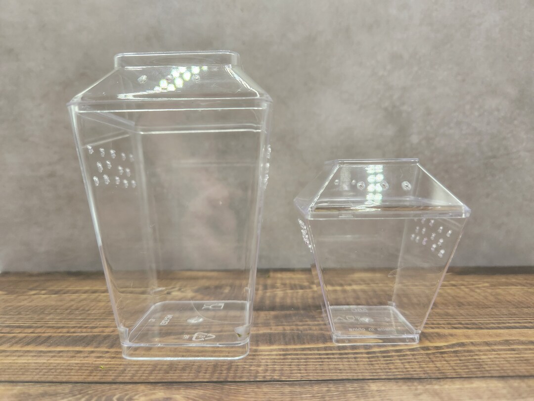 5 Spiderling Enclosures- Top Opening - Etsy