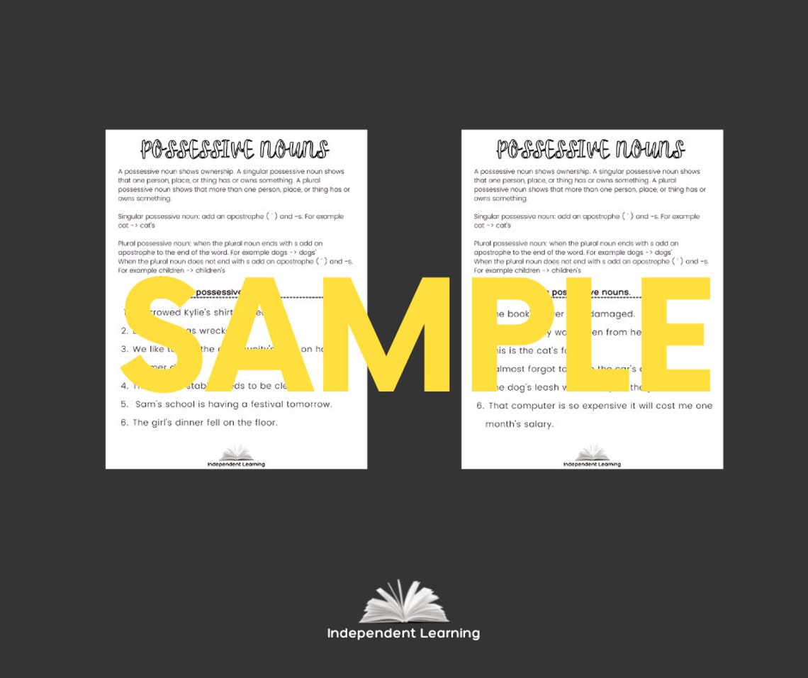 Grammar Worksheets: Possessive Nouns instant Download - Etsy
