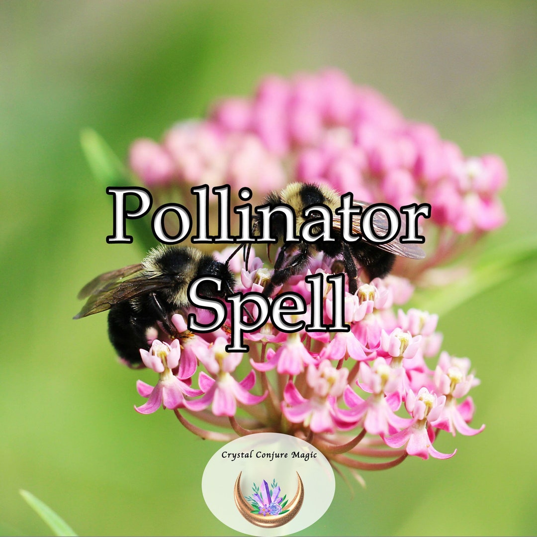 Pollinator Spell a Mystical Aura That Attracts Bees, Butterflies ...