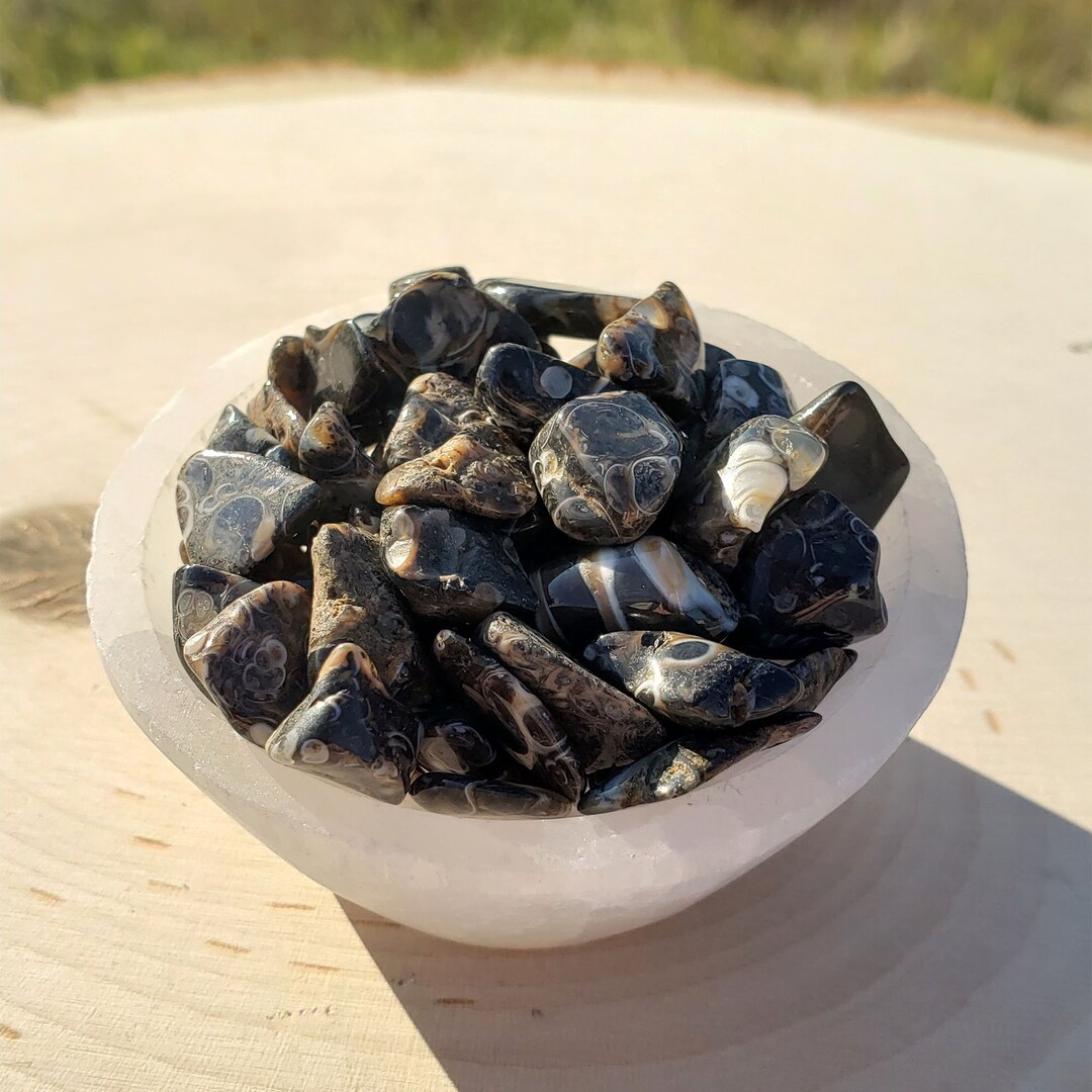 Turritella Agate Tumbled Stone Set | Agate | Tumbled Stone | Tumbled ...