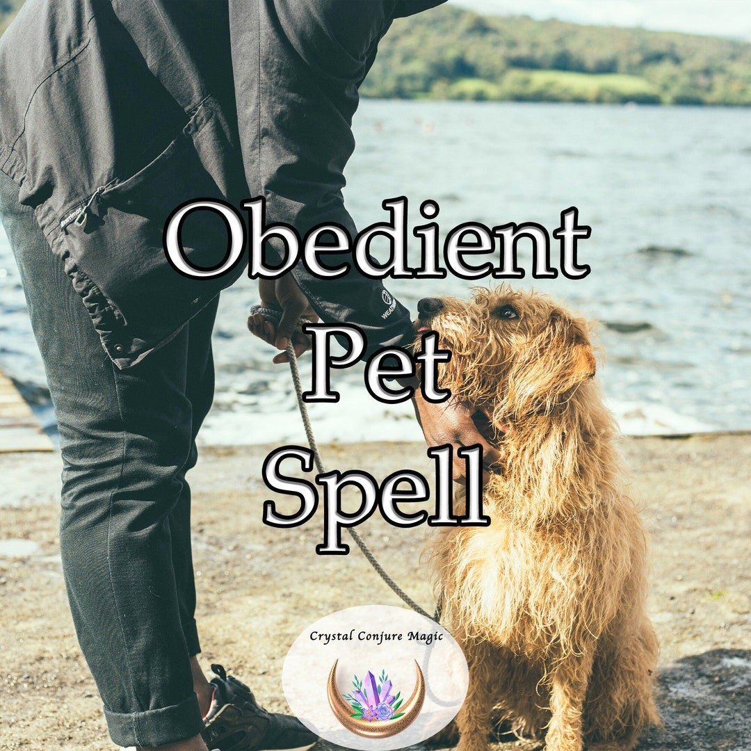 Obedient Pet Spell - Encourage Your Furry Friend to Be More Well ...