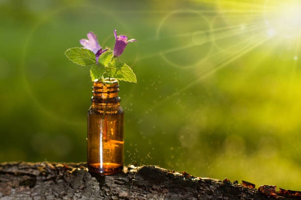Find Your Essence - Questionnaire - Bach Flower Remedies - Flower ...