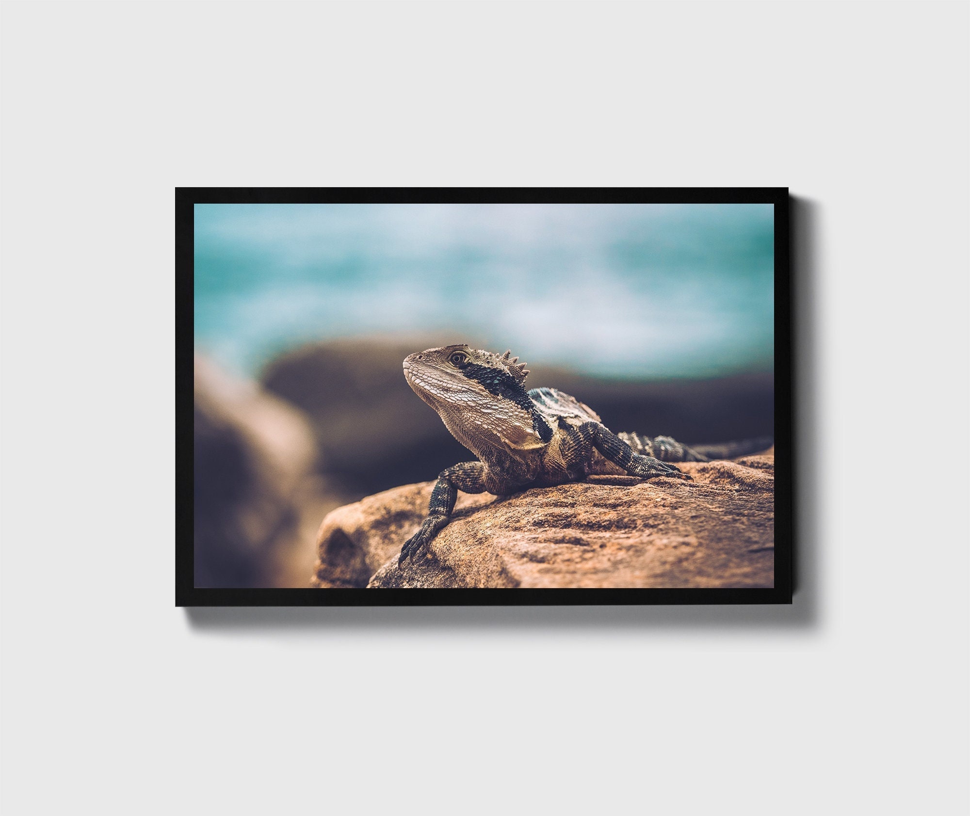Lizards Art | Bearded Dragon Art | Snake Print | Beardie Enclosure ...
