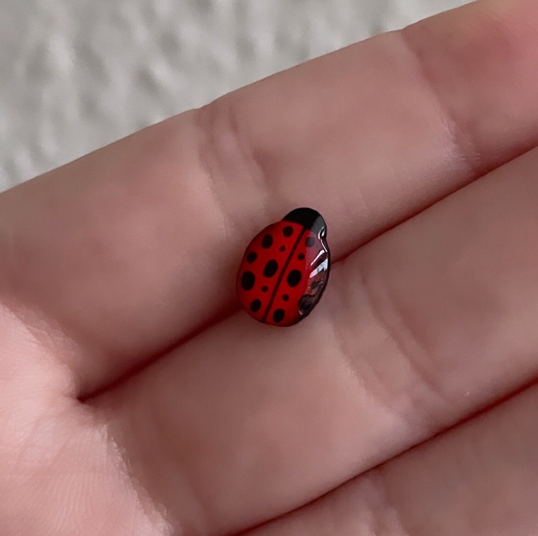Mini Pin Ladybug - Etsy