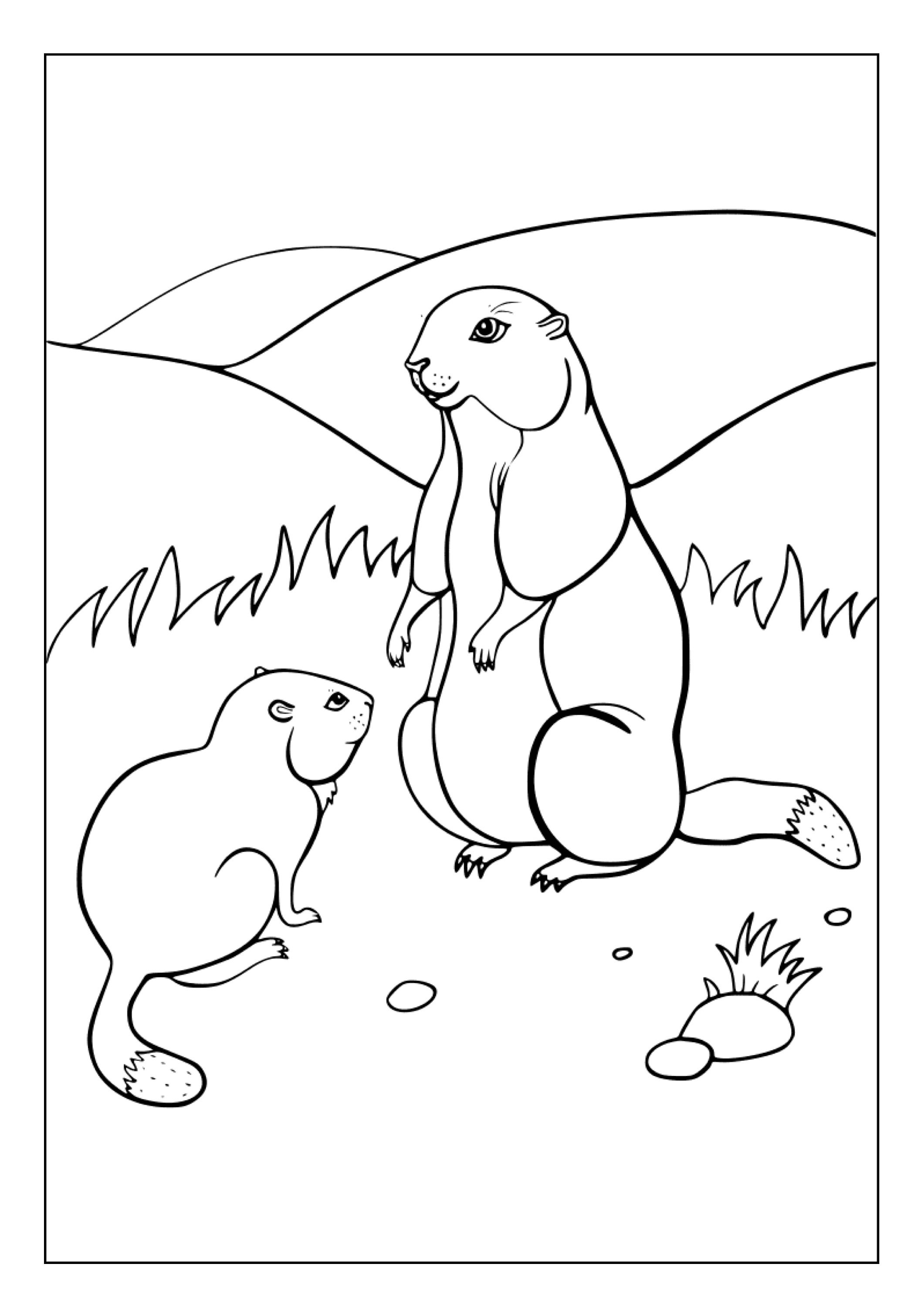 Printable Groundhog Day Coloring Pages for Kids and Adults | 60 Pages ...