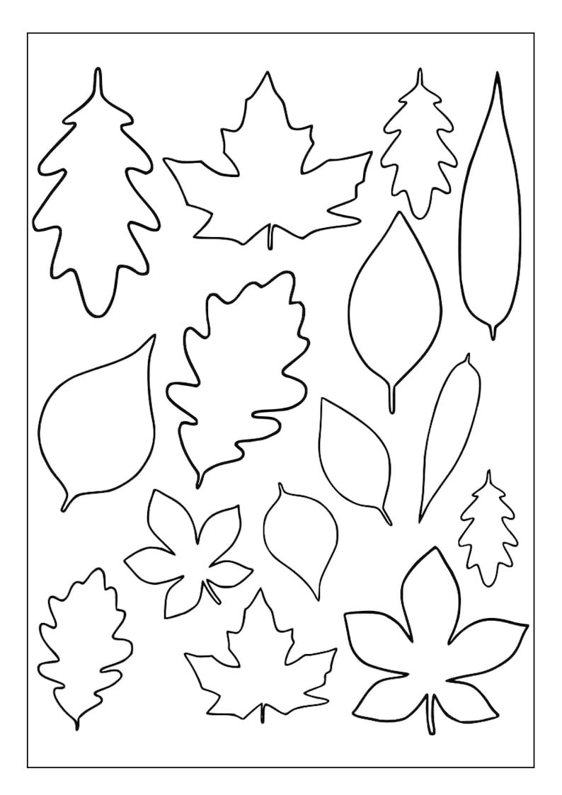 Printable Leaves Coloring Pages for Kids & Adults 80 Pages Digital ...