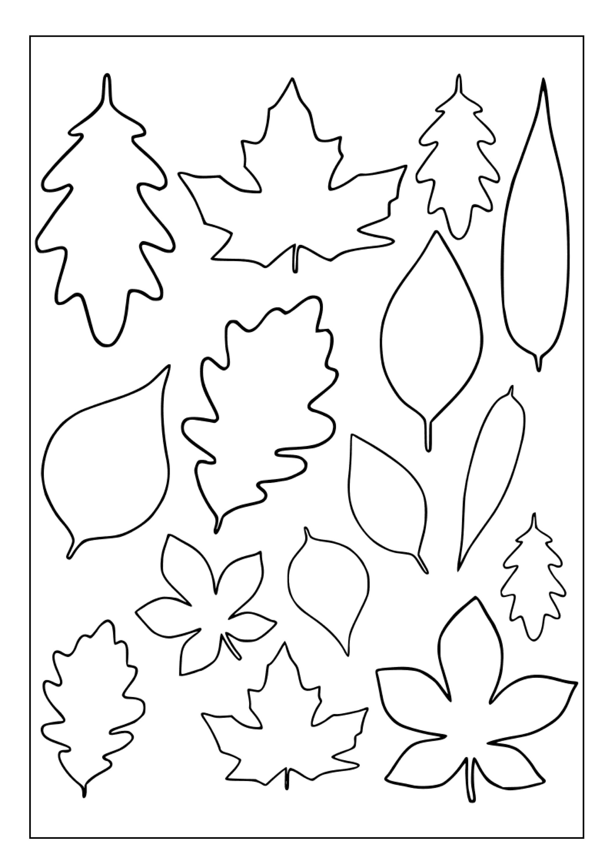 Printable Leaves Coloring Pages for Kids & Adults 80 Pages Digital ...