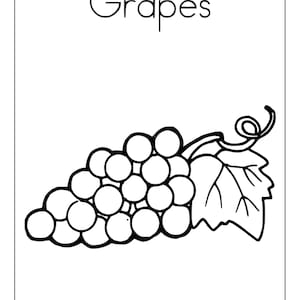 Printable Grapes Coloring Pages for Kids & Adults | 30 Pages | Instant ...