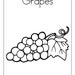 Printable Grapes Coloring Pages for Kids & Adults | 30 Pages | Instant ...