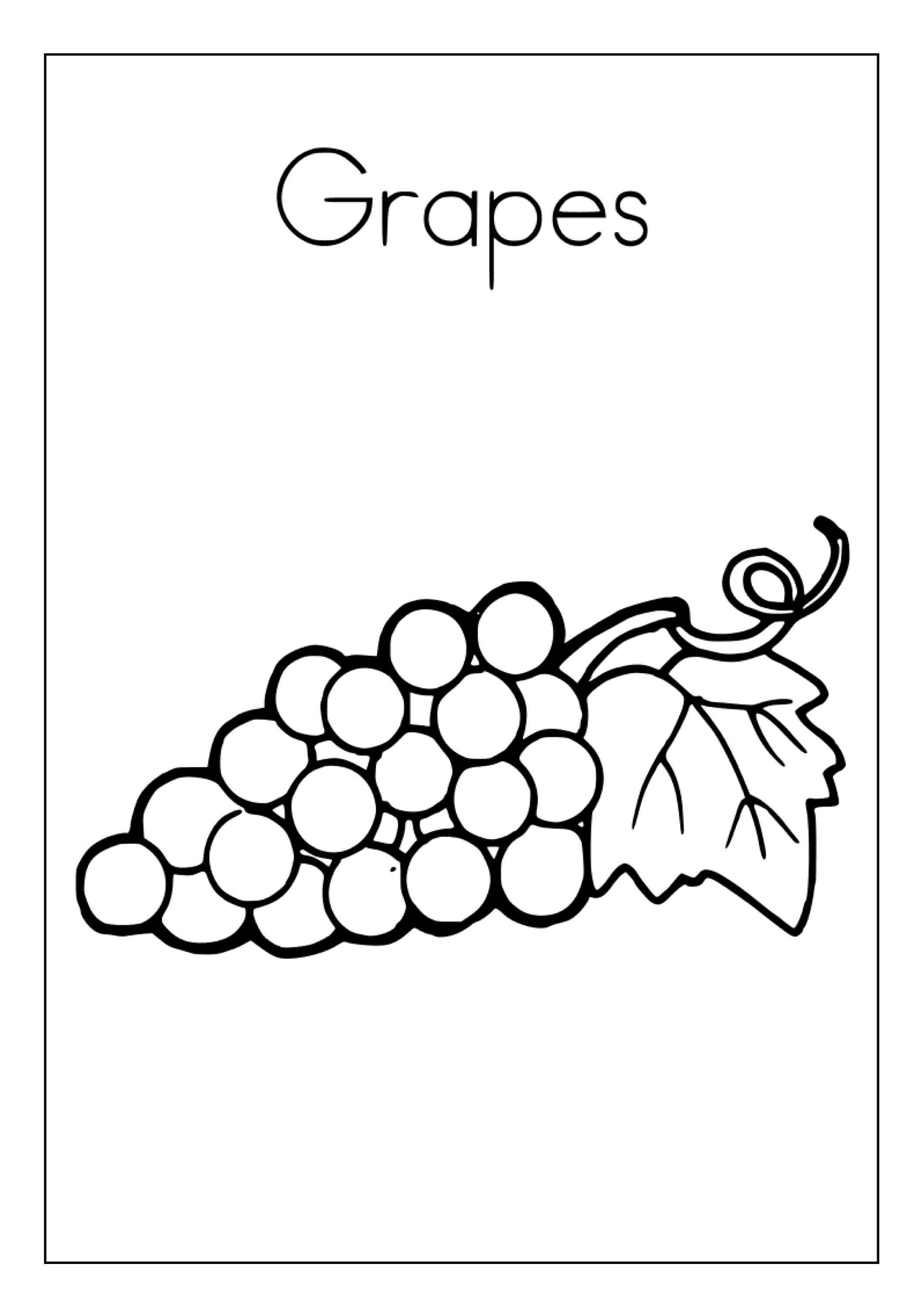 Printable Grapes Coloring Pages for Kids & Adults 30 Pages - Etsy