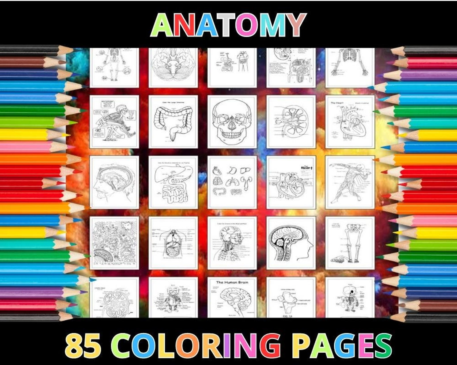 Printable Anatomy Coloring Pages for Kids & Adults | 85 Pages | Instant ...