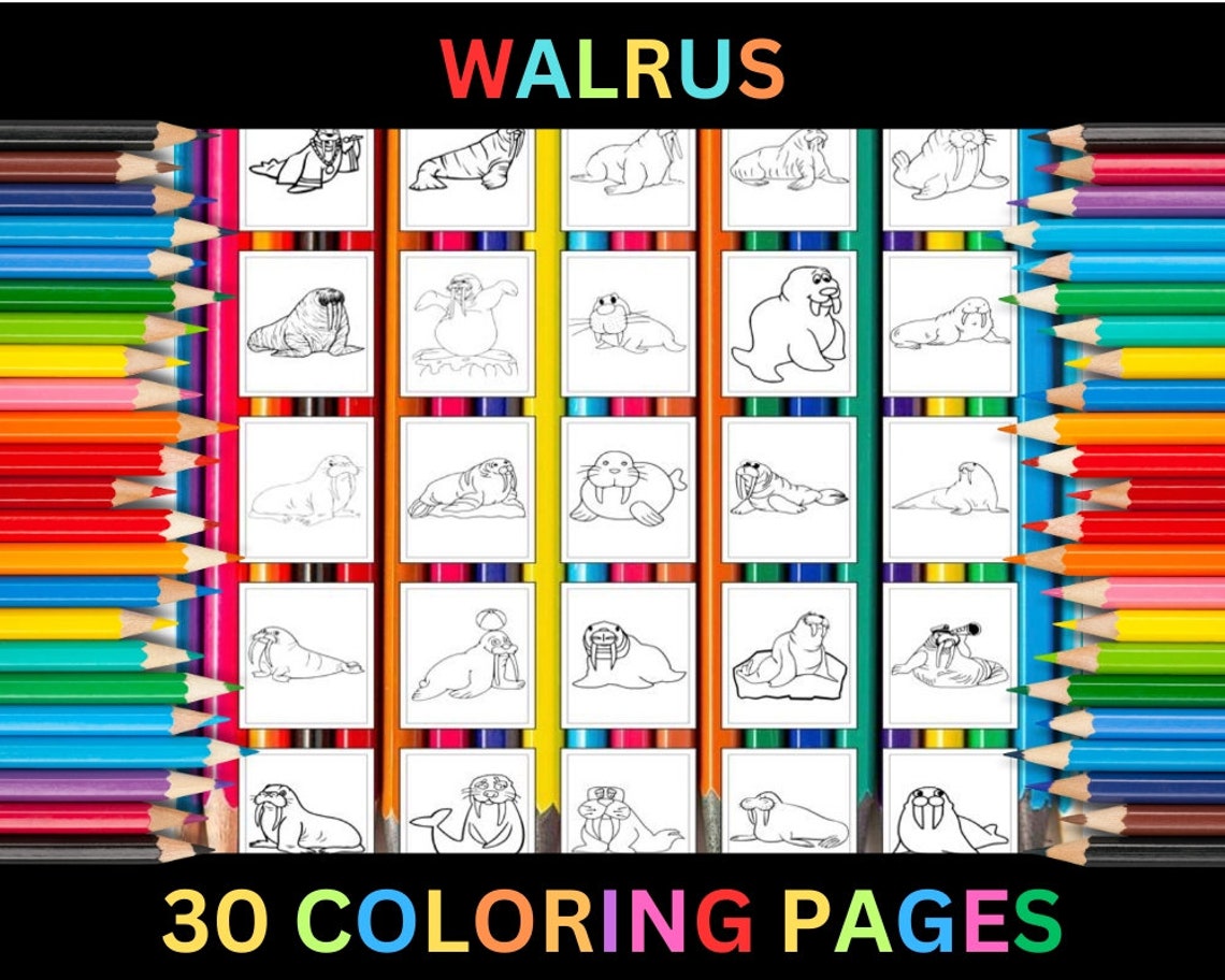 Printable Walrus Coloring Pages for Kids & Adults | 30 Pages | Instant ...