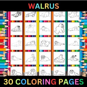 Printable Walrus Coloring Pages for Kids & Adults | 30 Pages | Instant ...