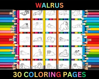 Cute Walrus Coloring Page | Arctic Animal Printable | Kids & Adults ...