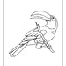 Printable Toucan Coloring Pages for Kids & Adults | 35 Pages | Instant ...