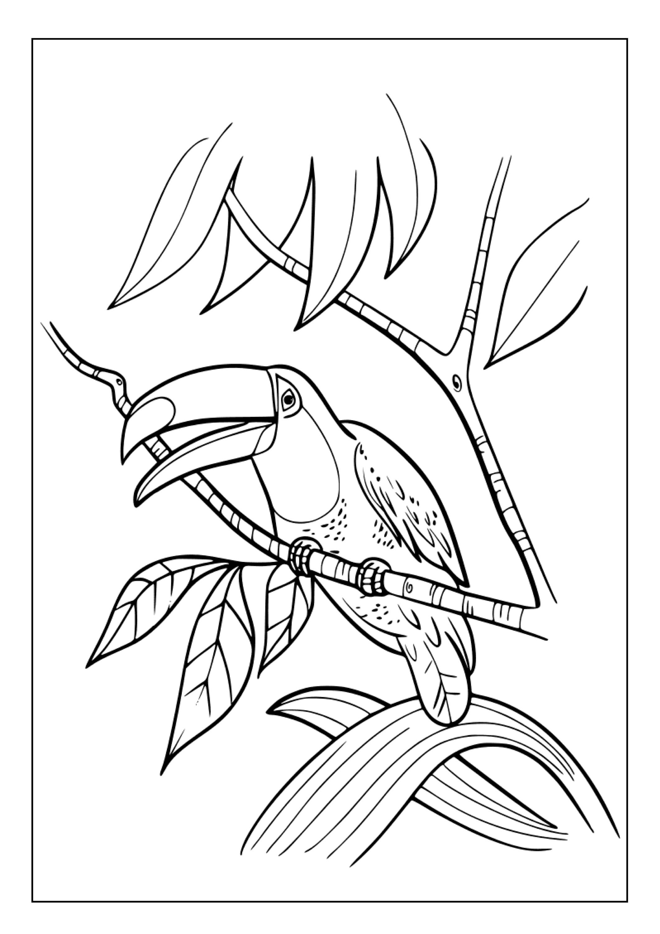 Printable Toucan Coloring Pages for Kids & Adults 35 Pages Instant ...