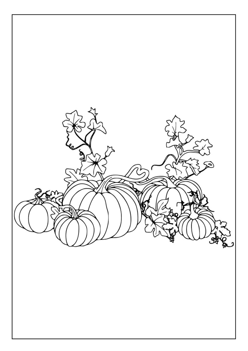 Printable Pumpkin Coloring Pages for Kids & Adults | 25 Pages | Digital ...