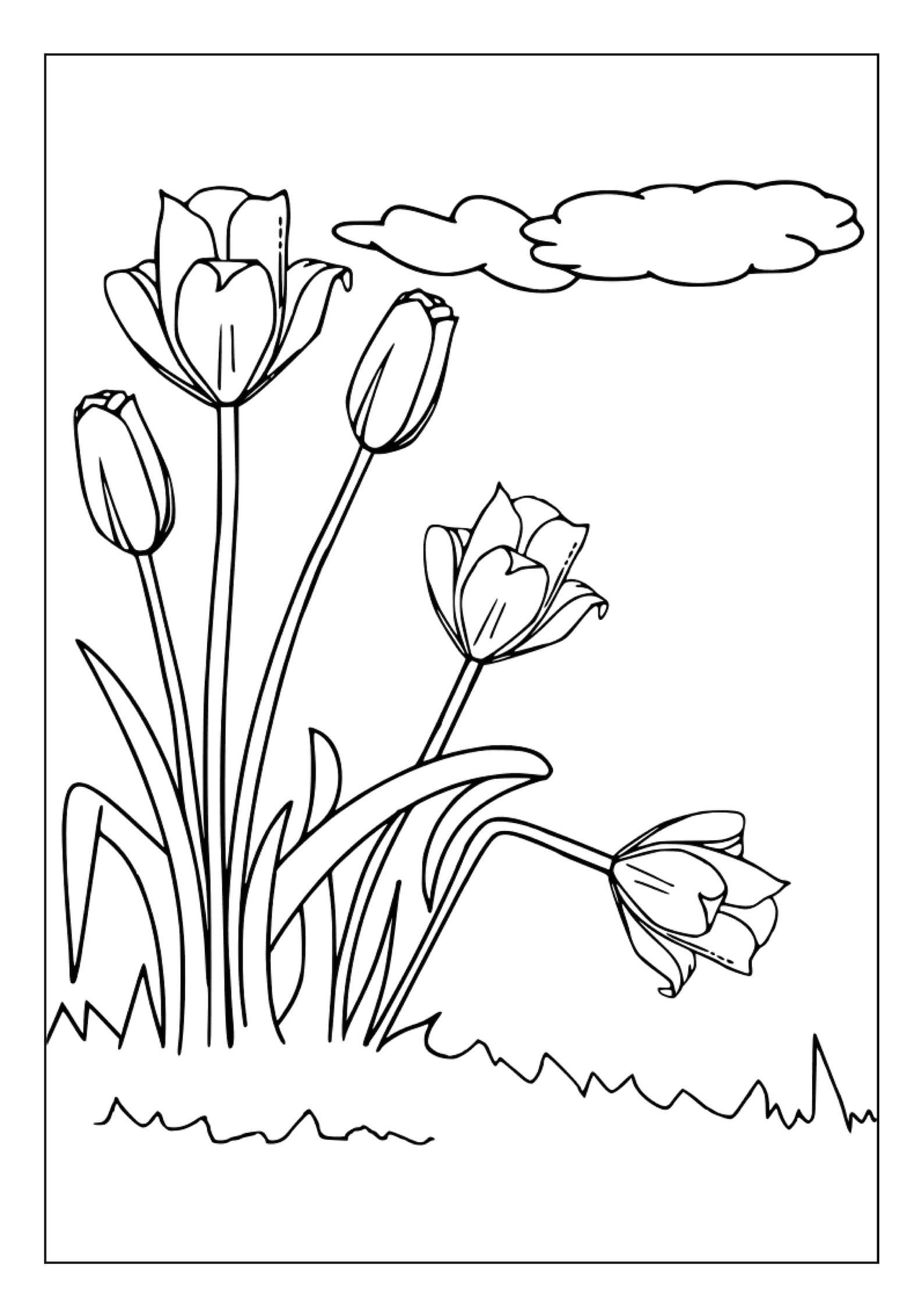 Printable Spring Flowers Coloring Pages for Kids & Adults | 80 Pages ...