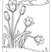 Printable Spring Flowers Coloring Pages for Kids & Adults | 80 Pages ...