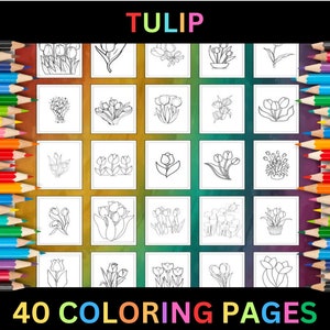 Printable Tulip Coloring Pages for Kids & Adults | 40 Pages | Digital ...