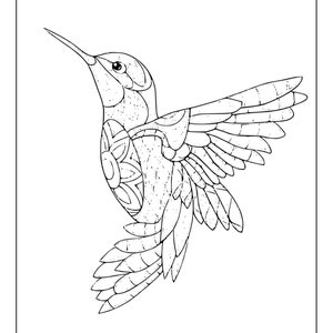 Printable Zentangle Birds Coloring Pages for Kids & Adults | 25 Pages ...
