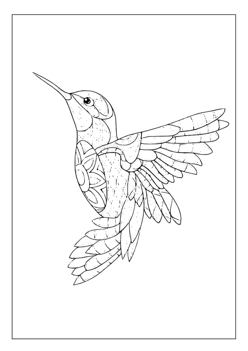 Printable Zentangle Birds Coloring Pages for Kids & Adults 25 Pages ...