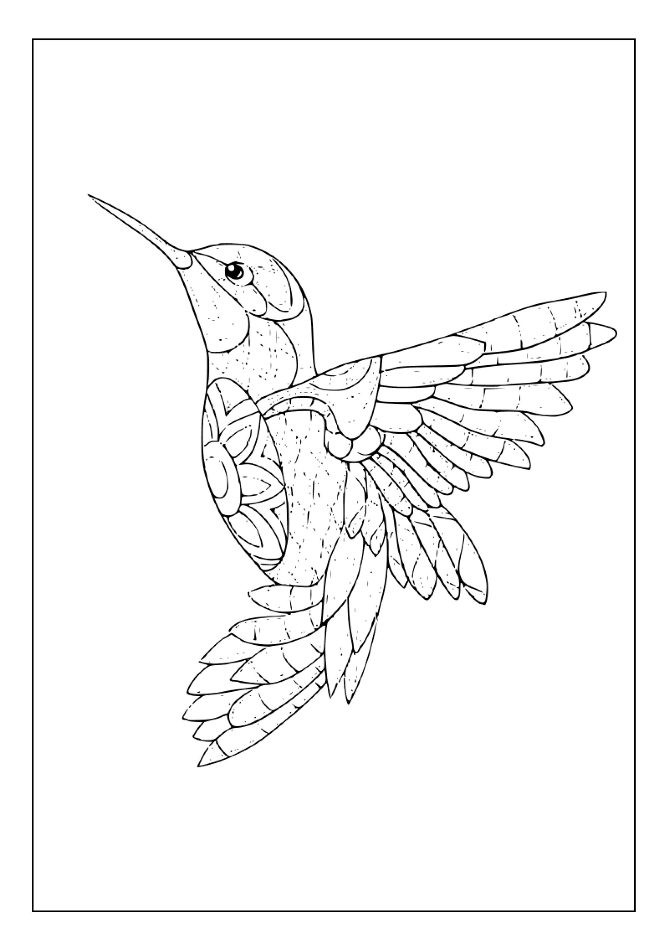Printable Zentangle Birds Coloring Pages for Kids & Adults 25 Pages ...