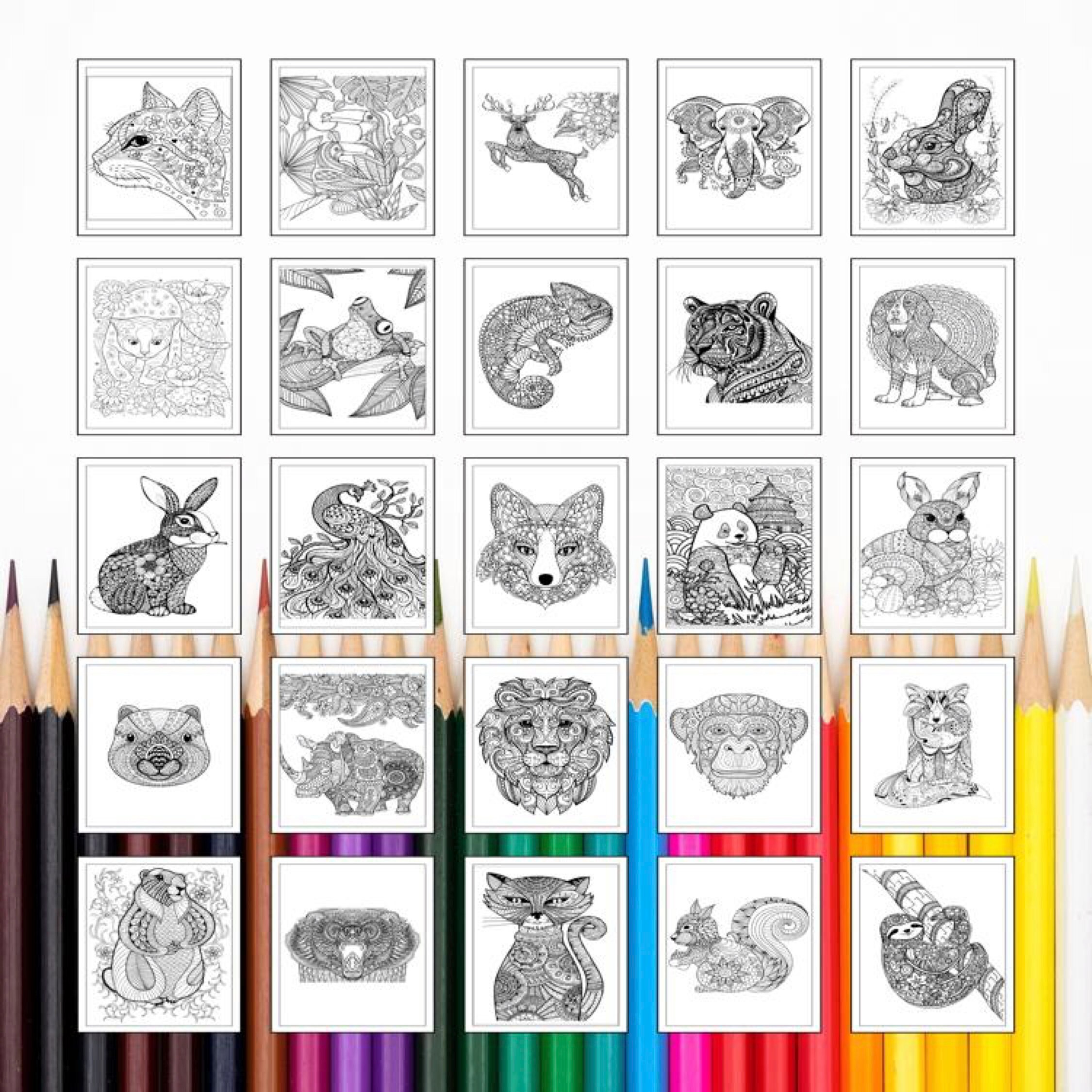 Printable Anti Stress Coloring Pages for Kids and Adults 190 - Etsy