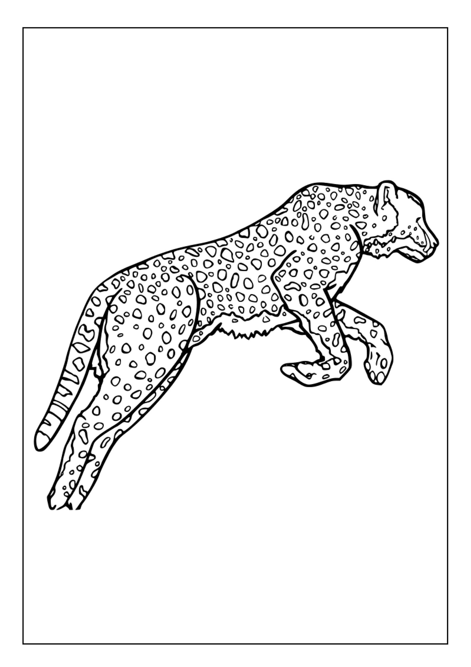 Printable Cute Wild Cats Coloring Pages for Kids & Adults 25 Pages ...
