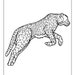 Printable Cute Wild Cats Coloring Pages for Kids & Adults 25 Pages ...