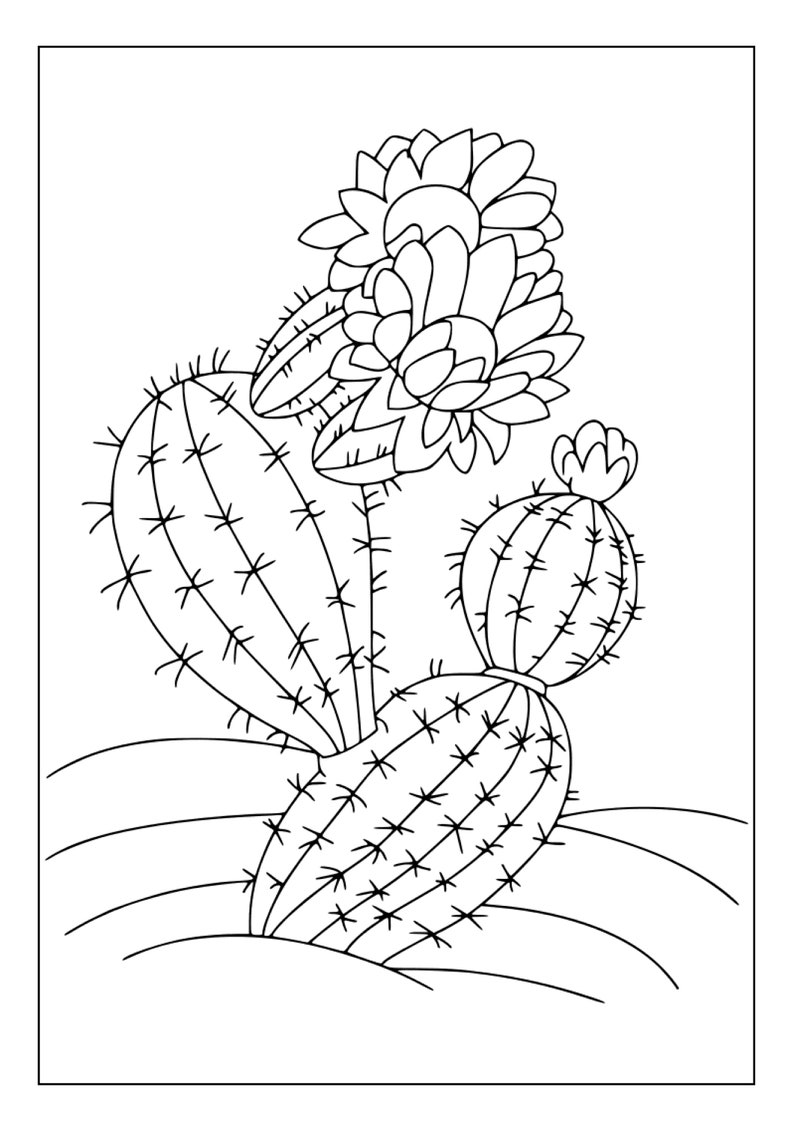 Printable Cactus Coloring Pages for Kids and Adults | 90 Pages ...