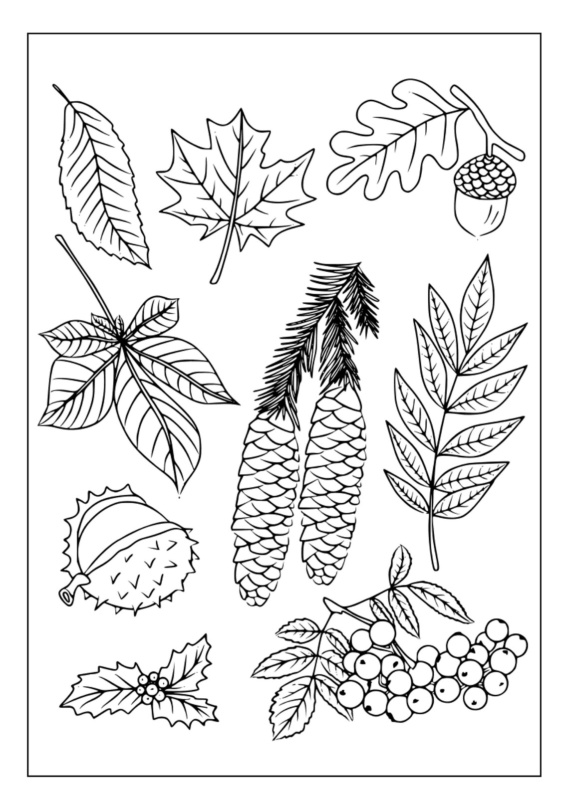 Printable Leaves Coloring Pages for Kids & Adults 80 Pages Digital ...