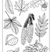 Printable Leaves Coloring Pages for Kids & Adults 80 Pages Digital ...