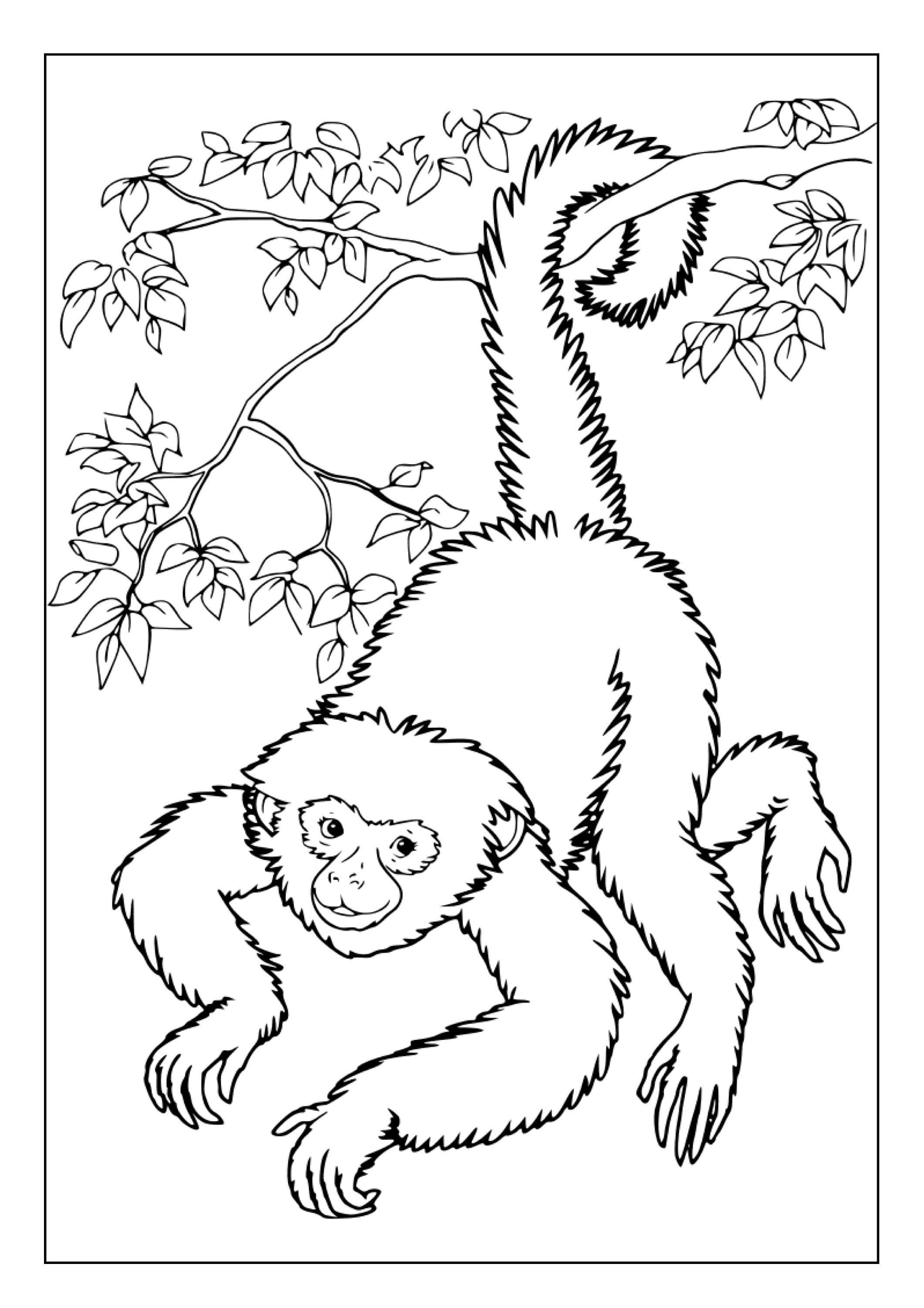 Printable Jungle Animals Coloring Pages for Kids and Adults | 80 Pages ...