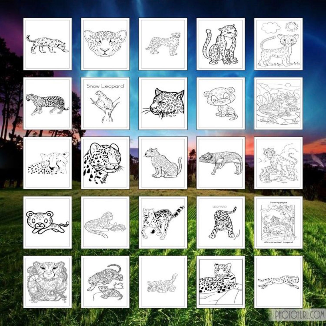 Printable Leopard Coloring Pages for Kids & Adults 65 Pages Instant ...