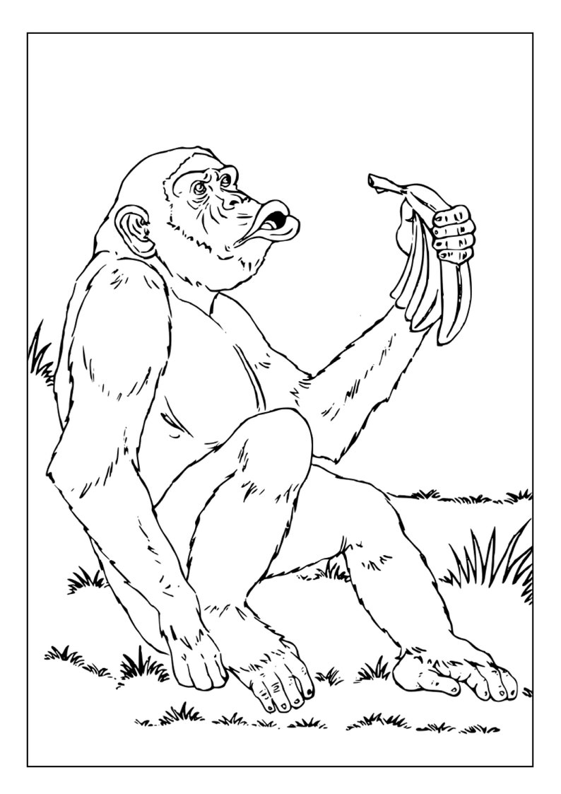 Printable Apes Coloring Pages for Kids & Adults | 50 Pages | Instant ...