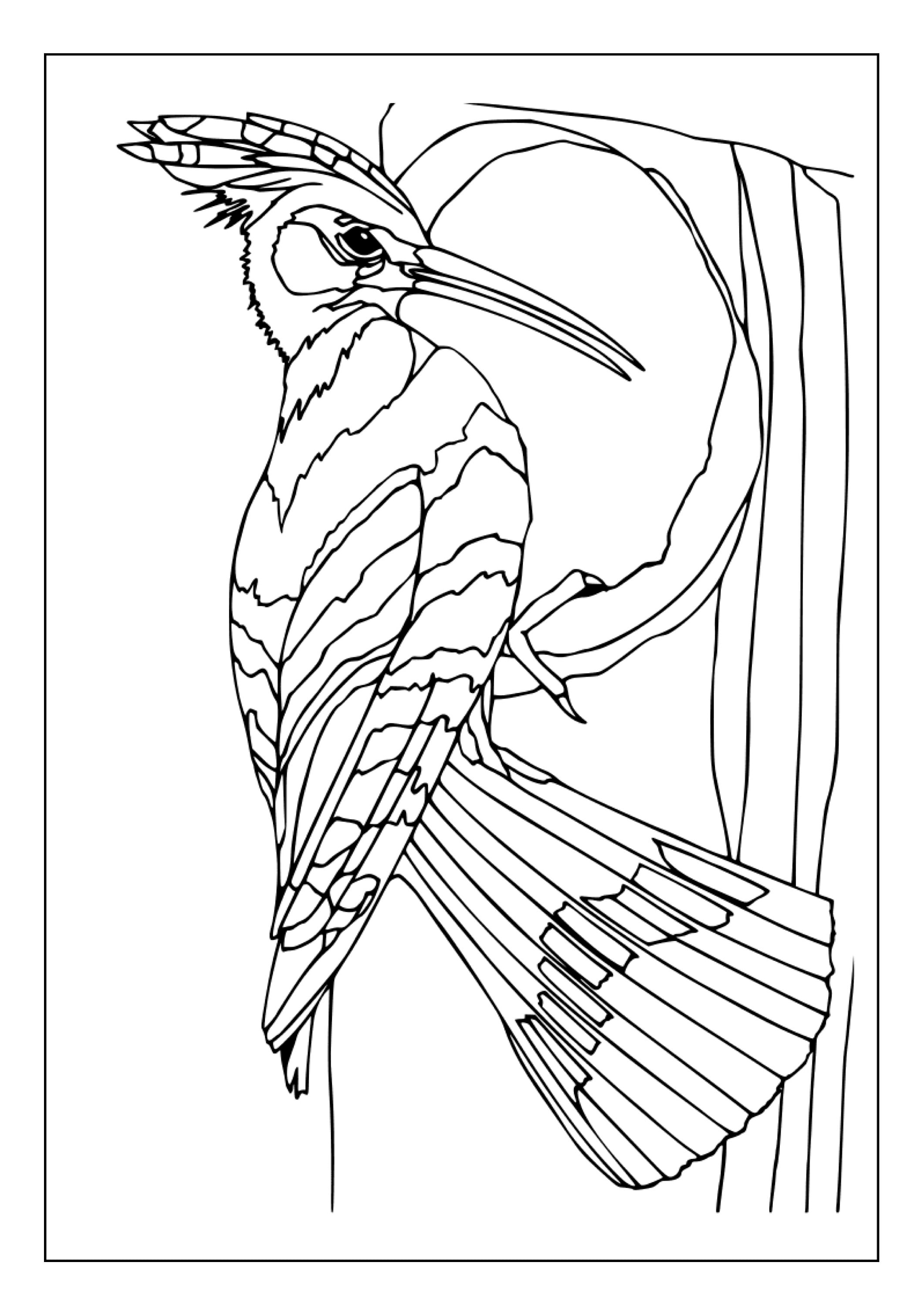 Printable Woodpecker Coloring Pages for Kids & Adults | 25 Pages ...