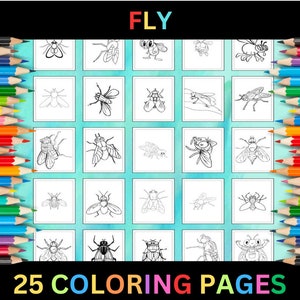Printable Fly Coloring Pages for Kids & Adults | 25 Pages | Instant ...