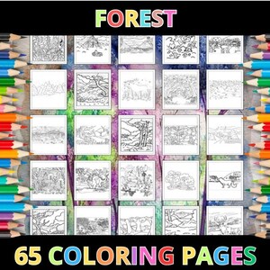 Printable Forest Coloring Pages for Kids & Adults | 65 Pages | Instant ...