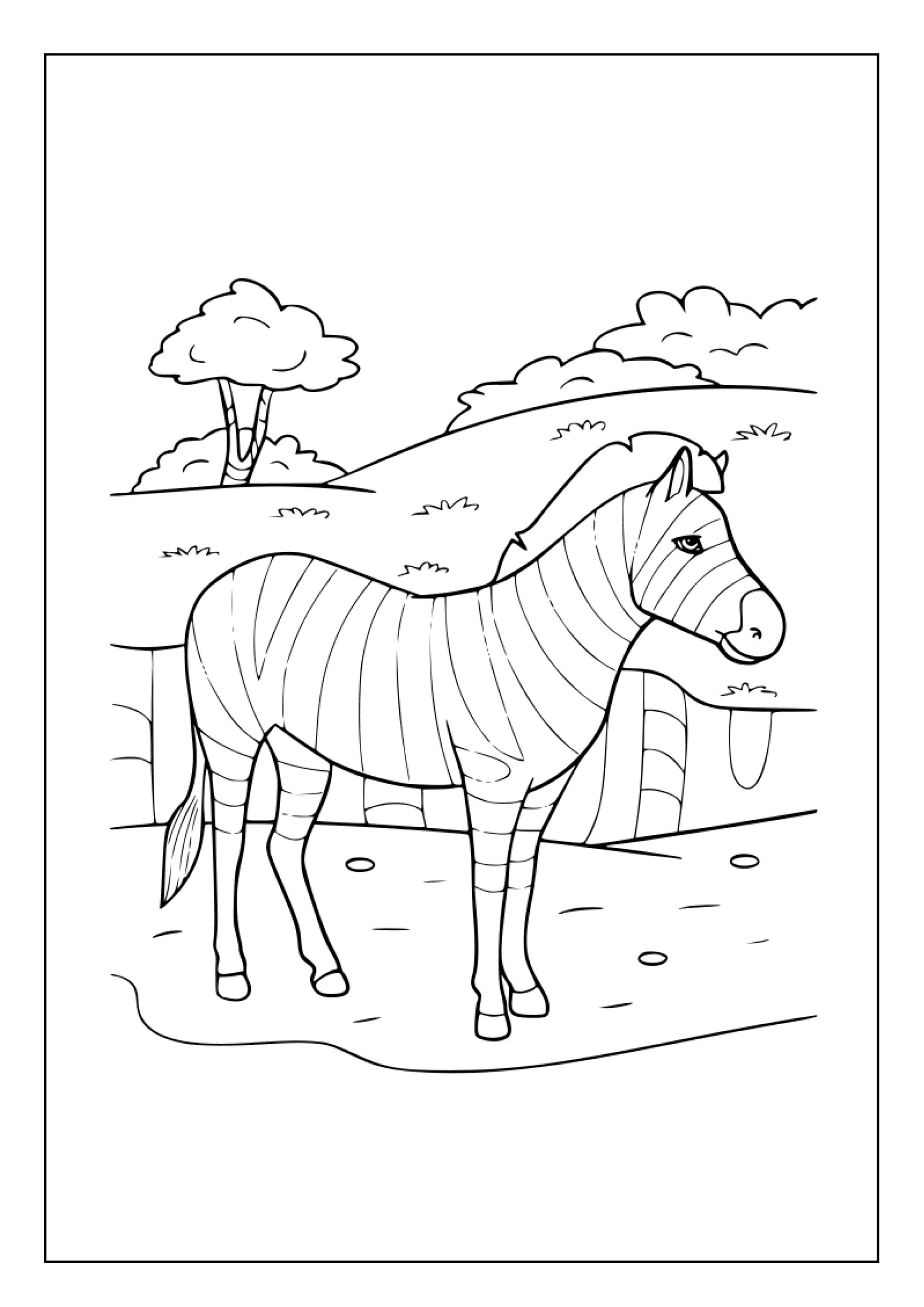 Printable Zebra Coloring Pages for Kids & Adults 35 Pages Instant ...