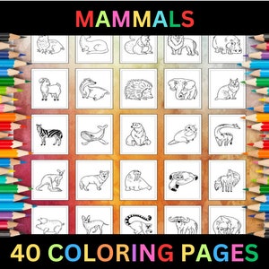 Printable Mammals Coloring Pages for Kids & Adults | 40 Pages | Instant ...