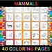 Printable Mammals Coloring Pages for Kids & Adults | 40 Pages | Instant ...