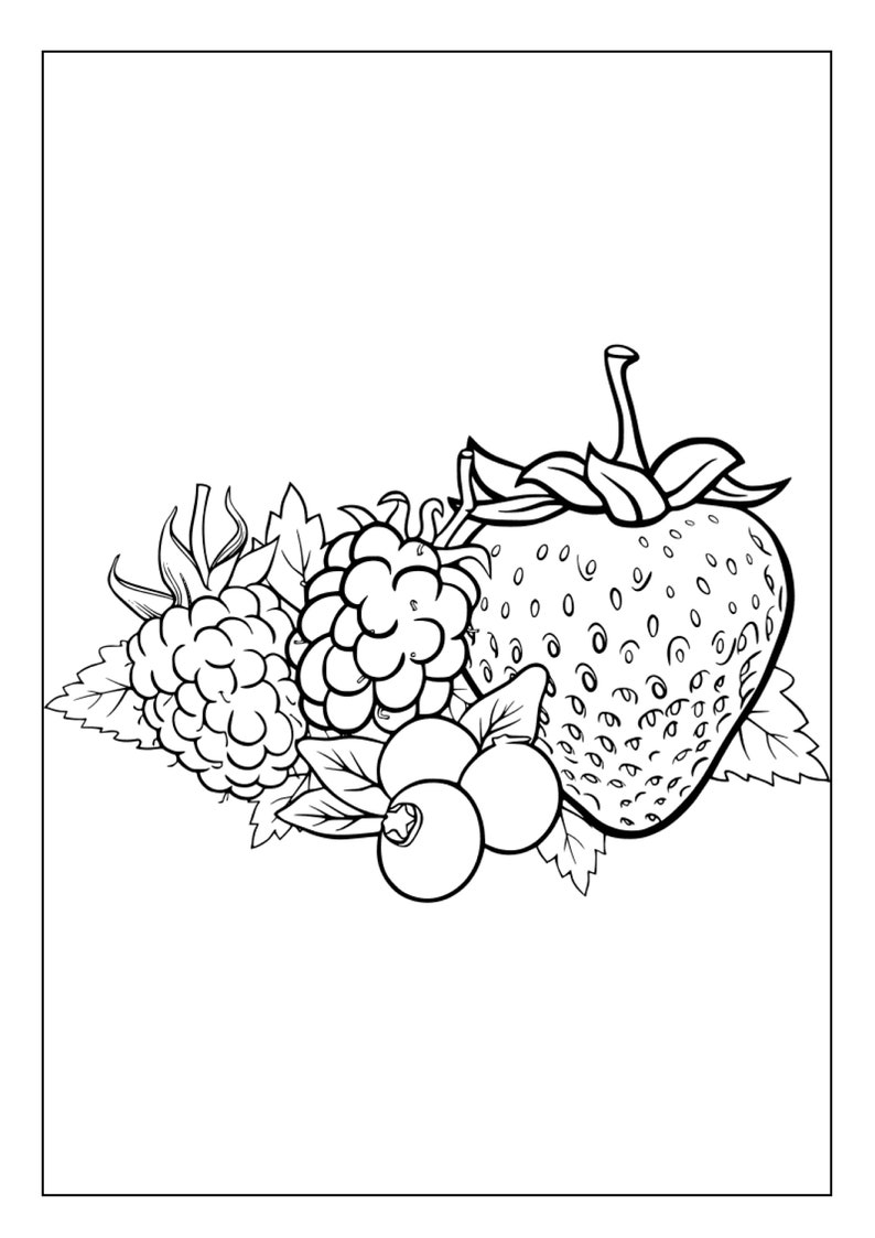 Printable Berries Coloring Pages for Kids & Adults | 85 Pages | Instant ...